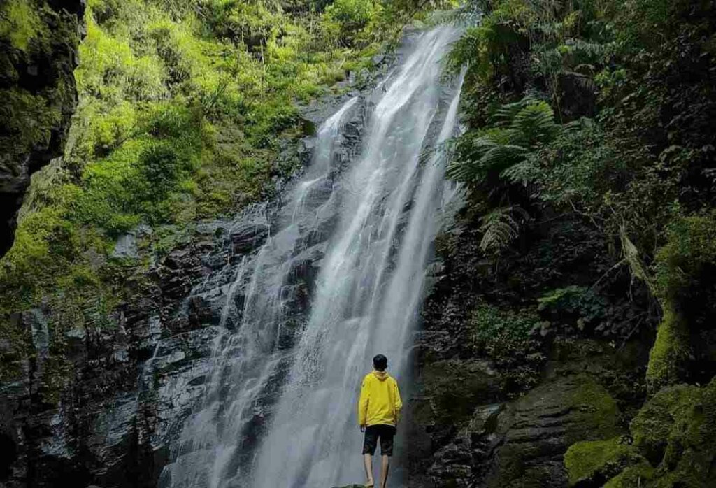 Curug Muara Jaya, Eksotisme Wisata Alam di Majalengka