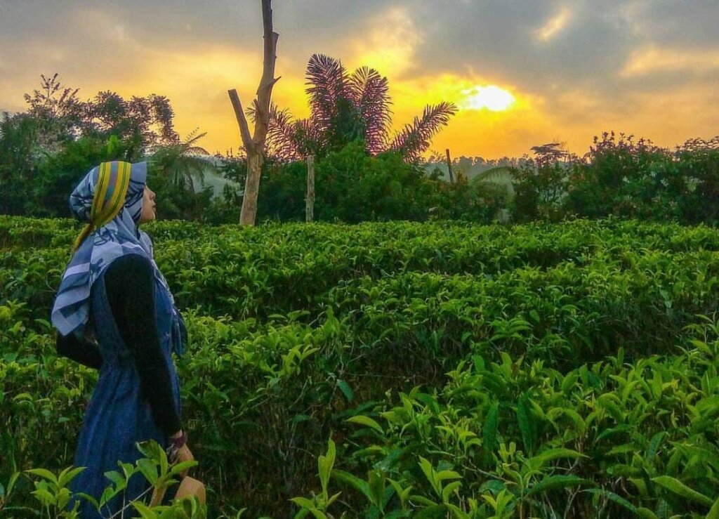 Pondok Halimun Sukabumi, Tempat Asyik untuk Rekreasi