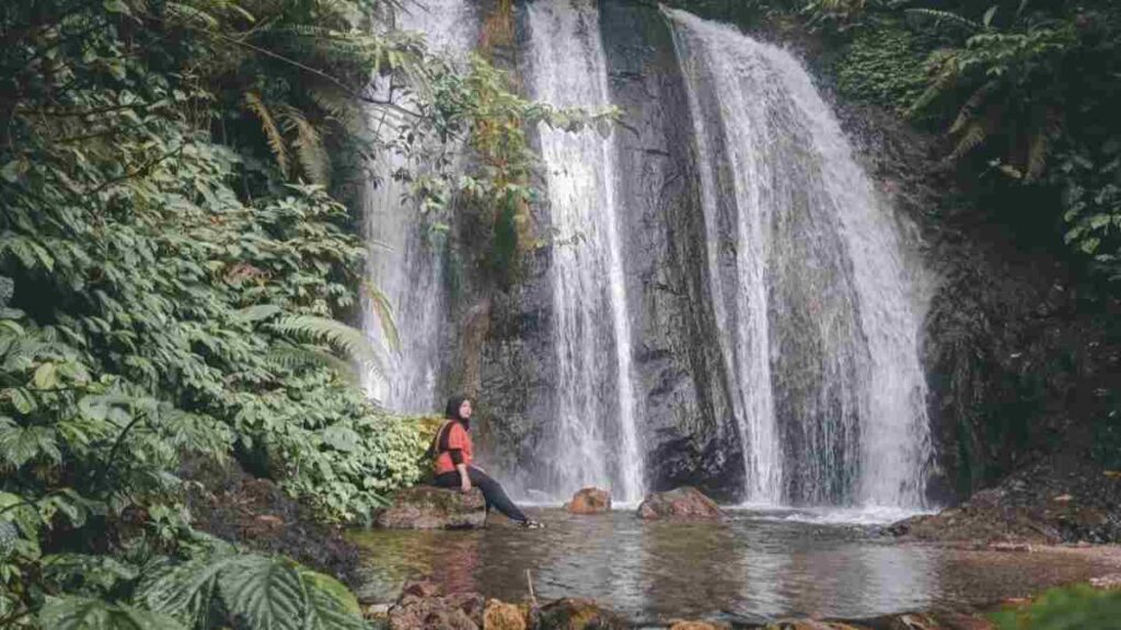 Curug Tebing Bogor: Harga Tiket hingga Alamat Lengkap