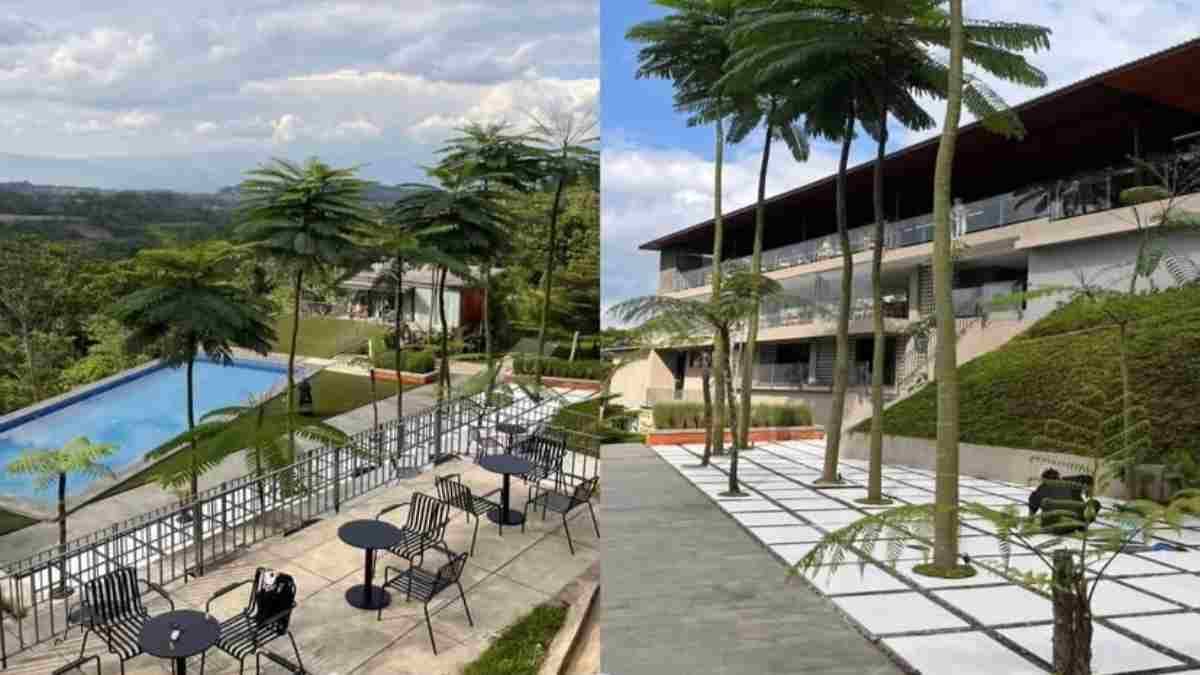 Jeda Coffee and Eatery, Tempat Nongkrong Baru di Tasikmalaya ...